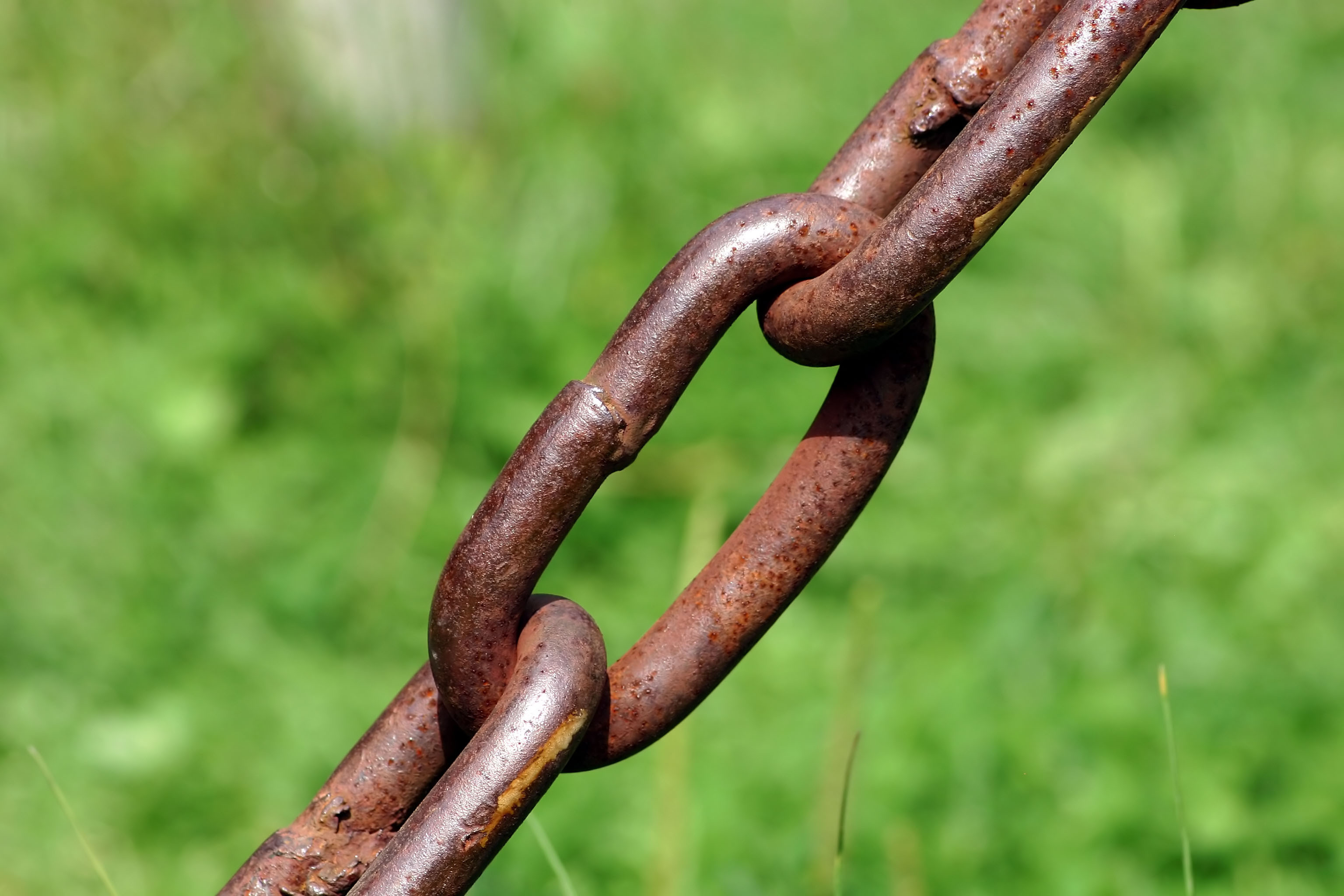 When to Replace Your Chain | Perfection Chain Products